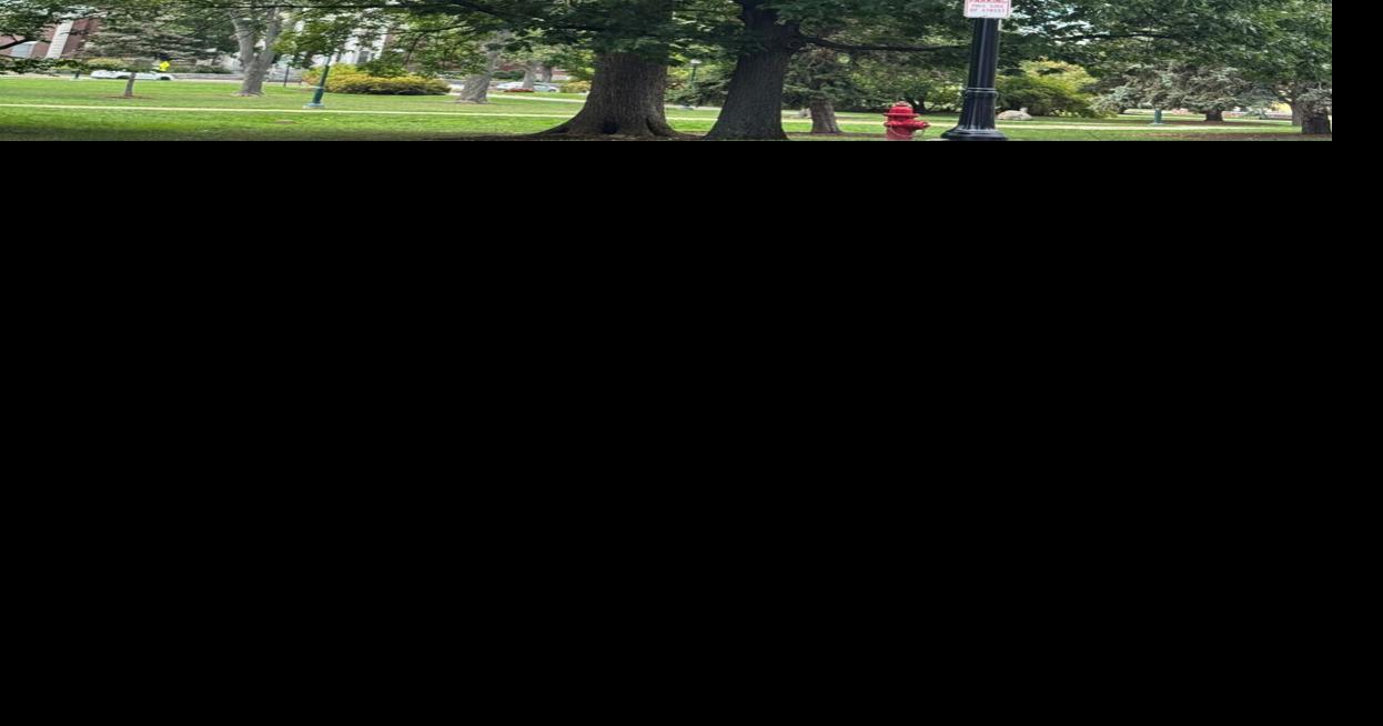 UVM Extension: Beautiful, beneficial oaks | Weekend Magazine ...