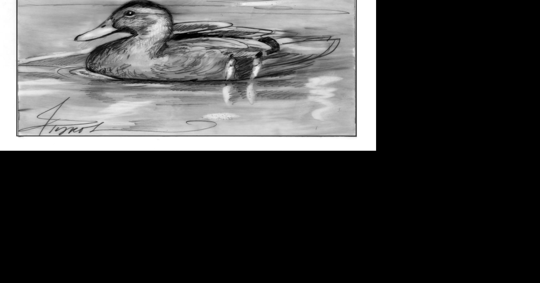 The Outside Story: Total eclipse of the duck | Weekend Magazine ...