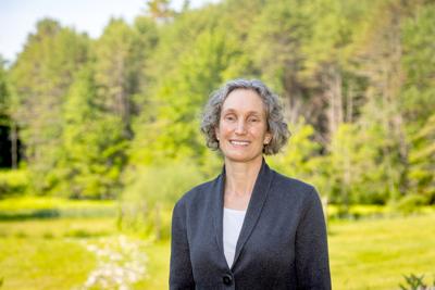 Rebecca Holcombe announces run for governor | Local News | timesargus.com