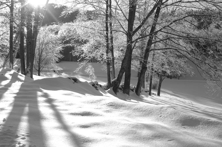 Three for the Chaffee: ‘Resolutions,’ ‘Frozen’ & ‘Breathe Deep ...