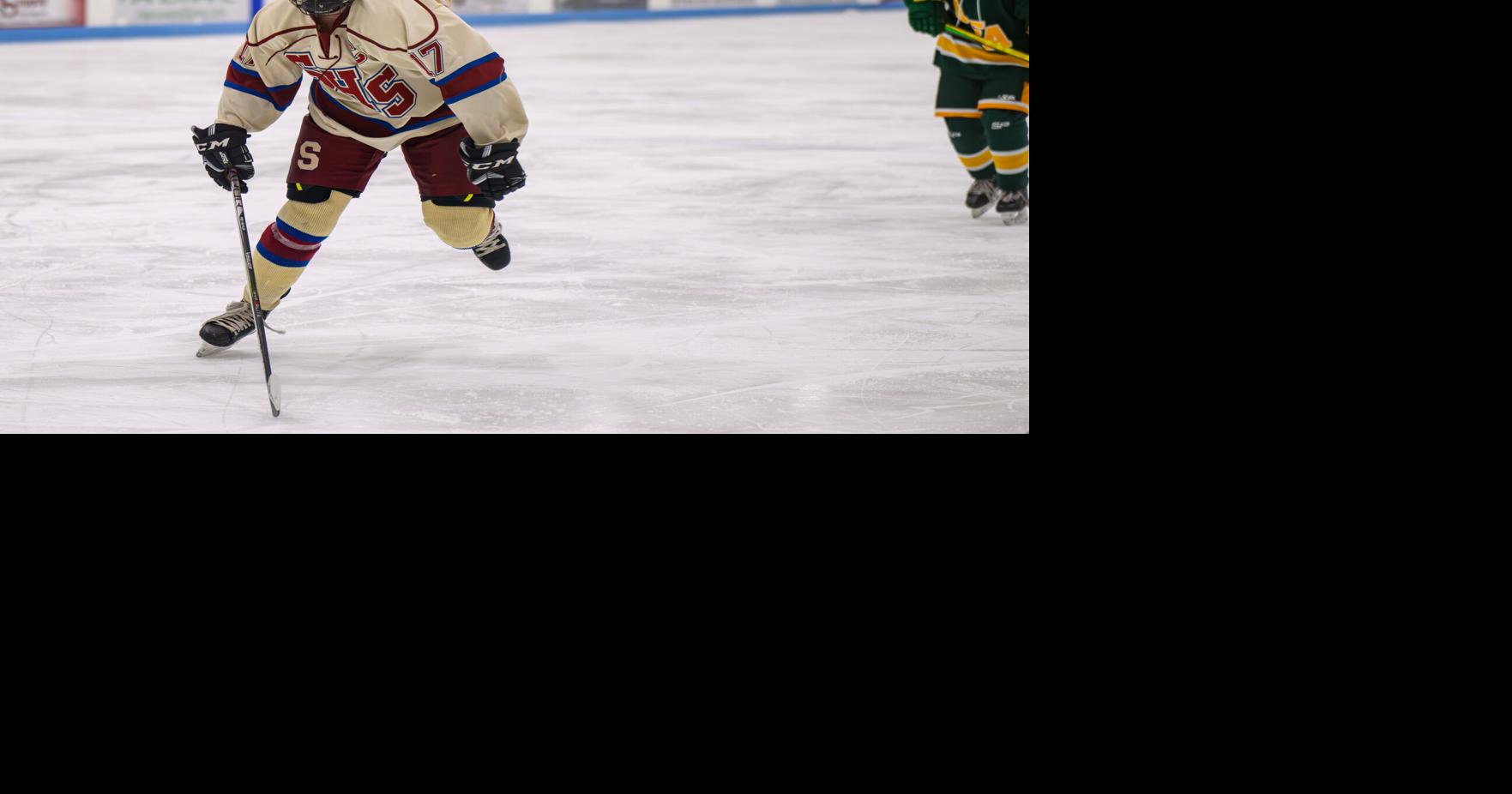 Team Harris earns hockey sweep at Rotary Classic | Local | timesargus.com