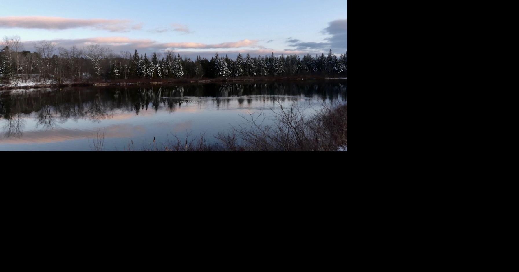 Berlin Pond | Snapshots | timesargus.com