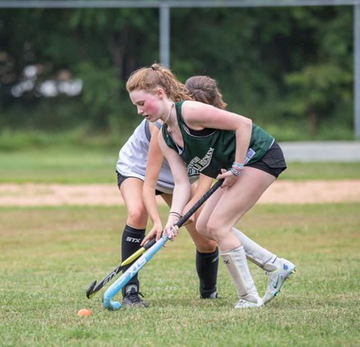 Title hopes for field hockey teams | Sports | timesargus.com