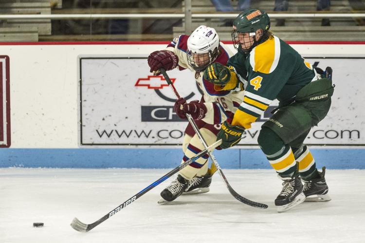 Times Argus boys hockey All-Stars | | timesargus.com
