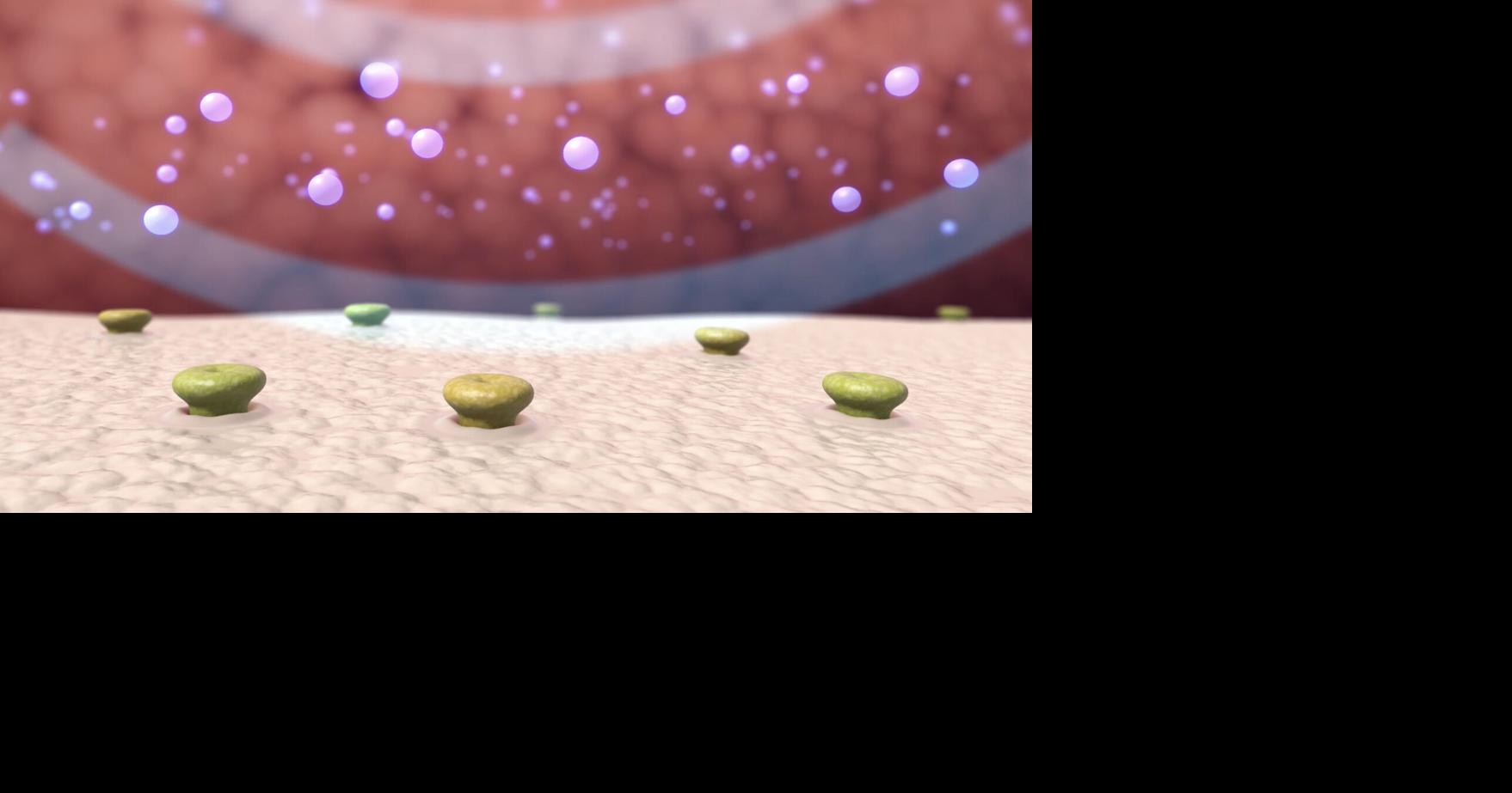 Surf Therapeutics Announces Early Feasibility Study (EFS) To Advance ...