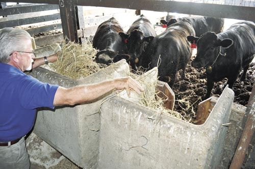 Cattle call: UKREC preparing for Beef Bash | News | timesleader.net