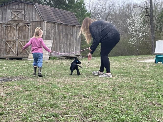 Family raising money for diabetes alert dog's training | News ...