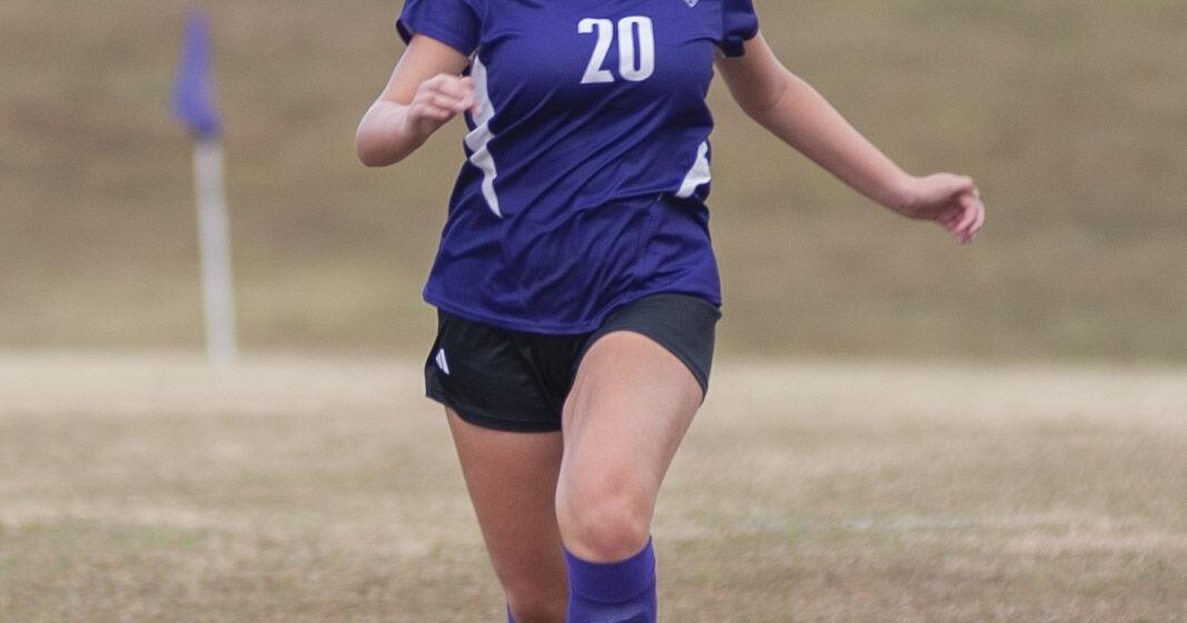 Lady Lyons shutout Lady Trojans in 11-0 blowout | Sports | timesleader.net