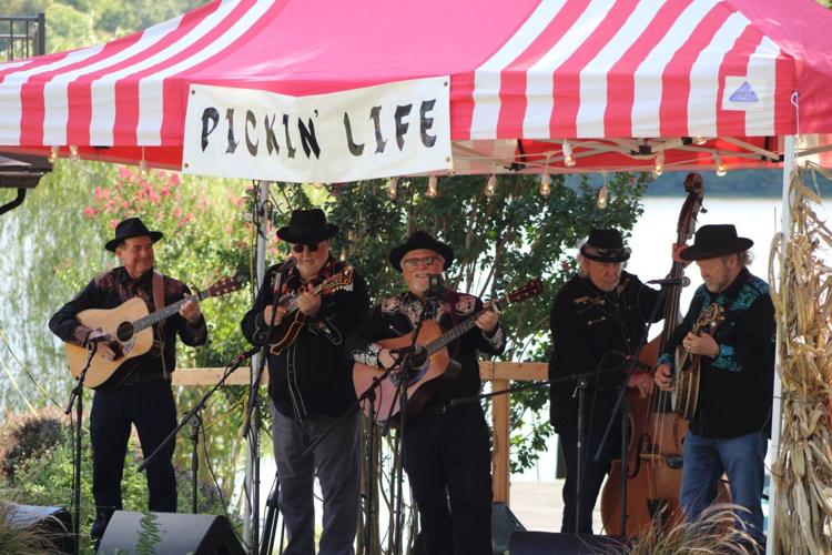 "Pickin' Life" project raises $50,000 for pro-life pregnancy care ...