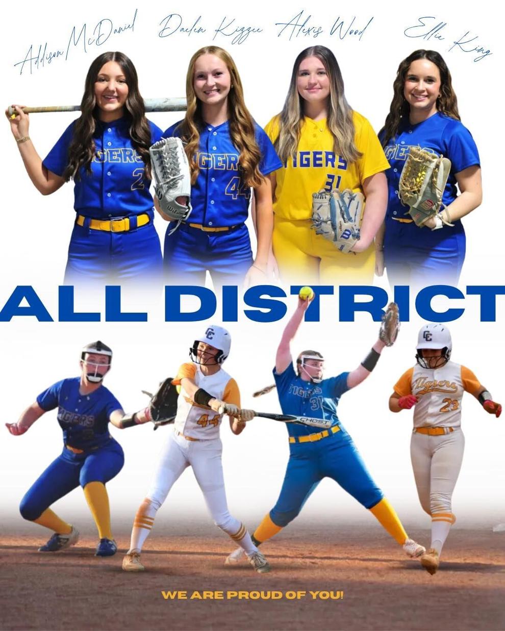 Lady Tigers fall in district title matchup | Sports | timesleader.net