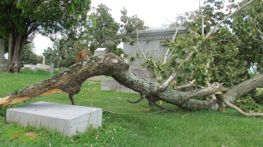 Trees uprooted during storm at Cedar Hill Cemetery, causing extensive ...