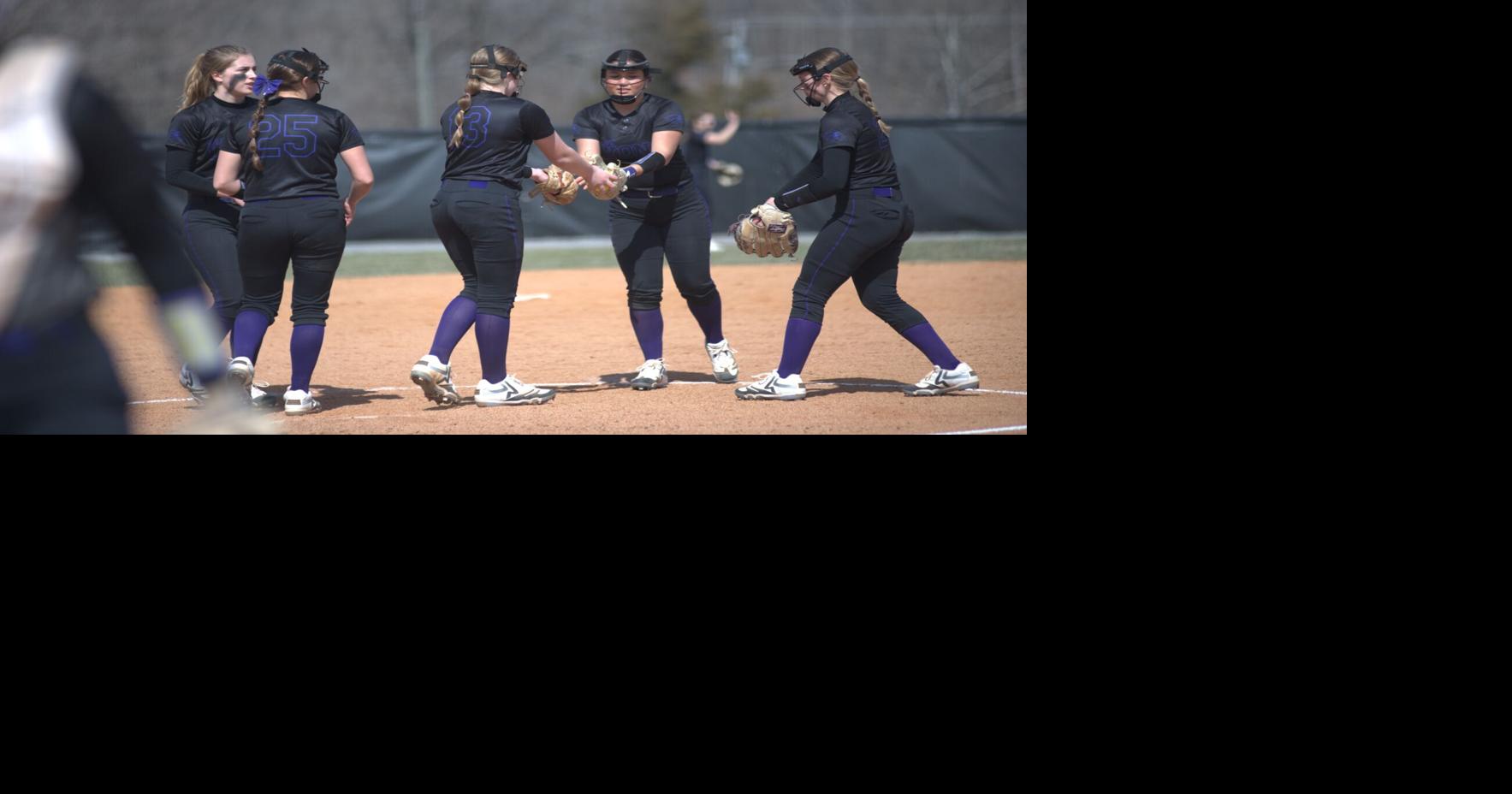 Lady Lyons fall to Apollo E-gals in 7th inning | Sports | timesleader.net