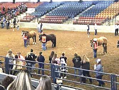 FFA students take part in Murray State contests | Lifestyle ...