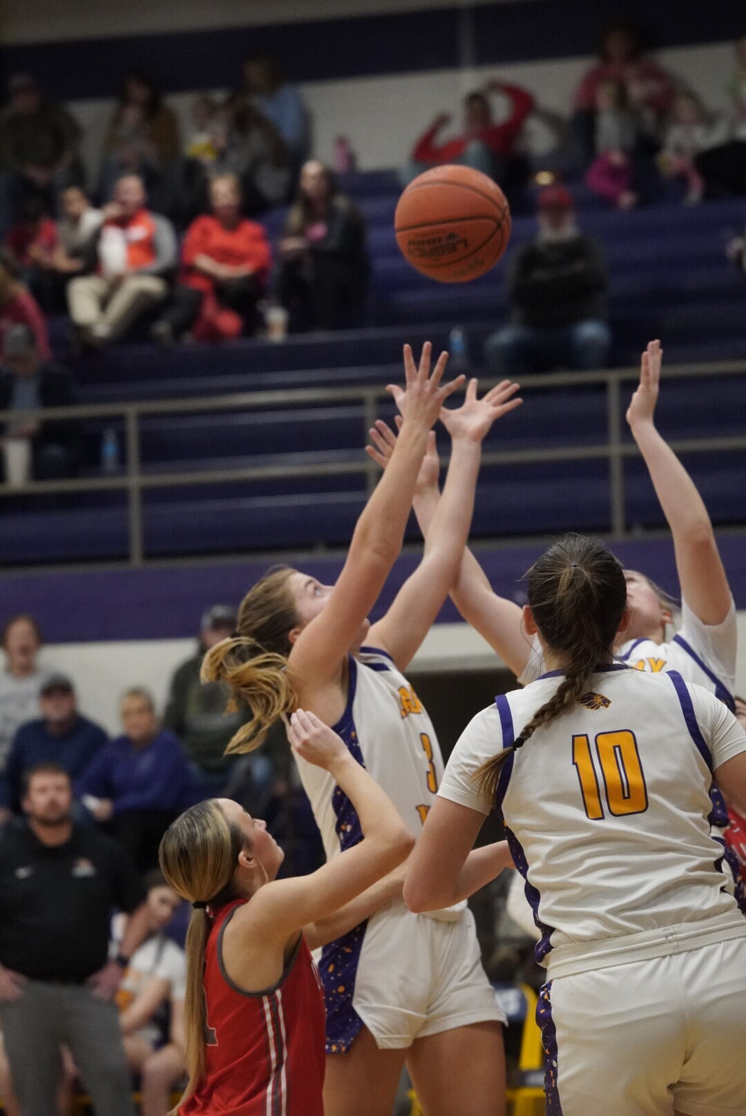 Taylor, Collins net double-doubles in Lady Lyons 82-56 win | Sports ...