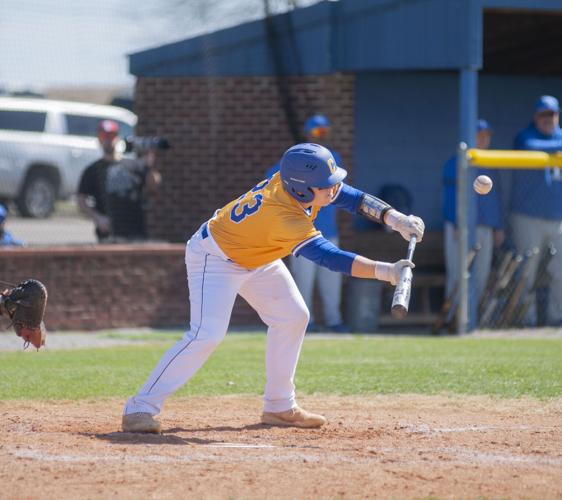 Tigers top Blue Tornado 6-3 in weekend contest | Sports | timesleader.net