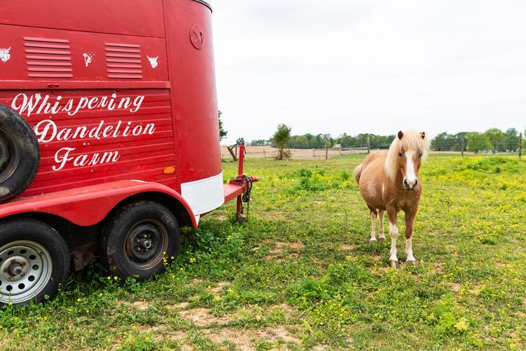 New agri-business fulfills dream of farm owners | News | timesleader.net