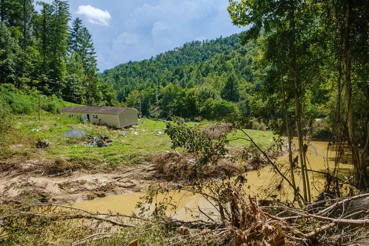 Rough year for cattle producers after flood and drought | News ...