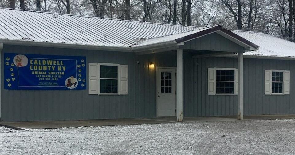 Multiple animal shelters prepared for inclement weather, offers tips ...
