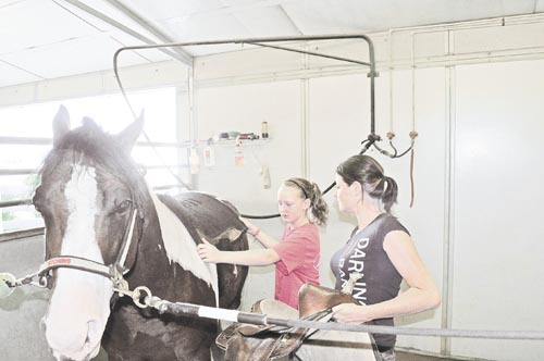 Local youth have opportunity to learn riding fundamentals | Sports ...