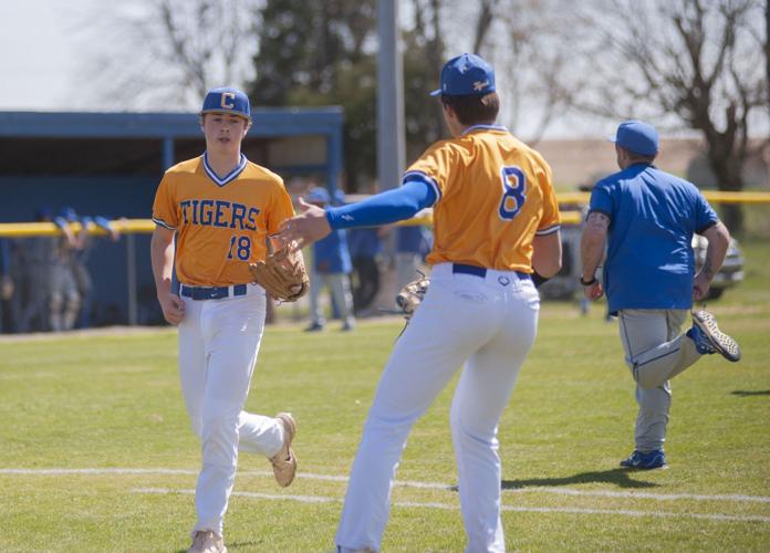Tigers top Blue Tornado 6-3 in weekend contest | Sports | timesleader.net