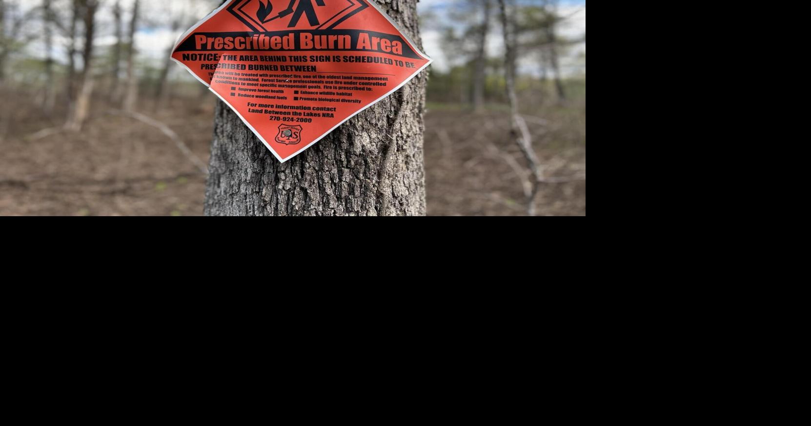 Land Between the Lakes prescribed burns benefit ecosystem, region ...