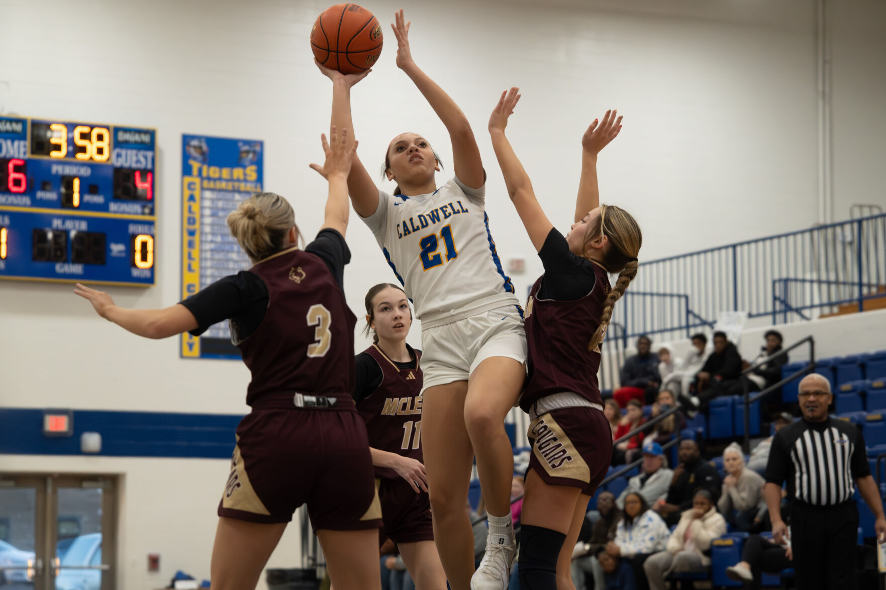 Lady Tigers fall to McLean County in their return home | Sports ...