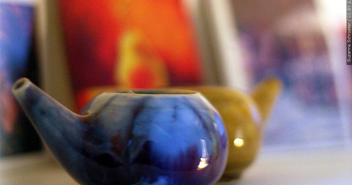 Another dangerous amoeba has been linked to neti pots and nasal rinsing ... Another dangerous amoeba has been linked to neti pots and nasal rinsing ...