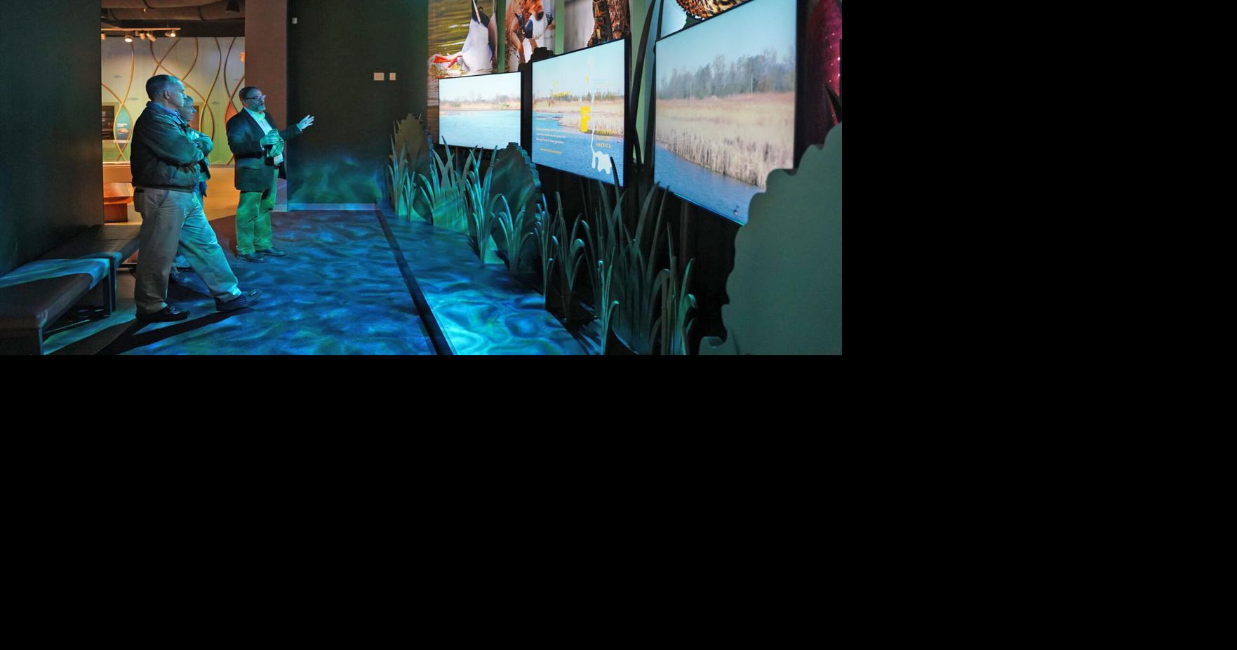 Discovery Park of America opens new permanent exhibit, ‘Duck, Duck ...