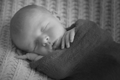 new arrivals: Levi Blake Wynn | Lifestyle | timesleader.net