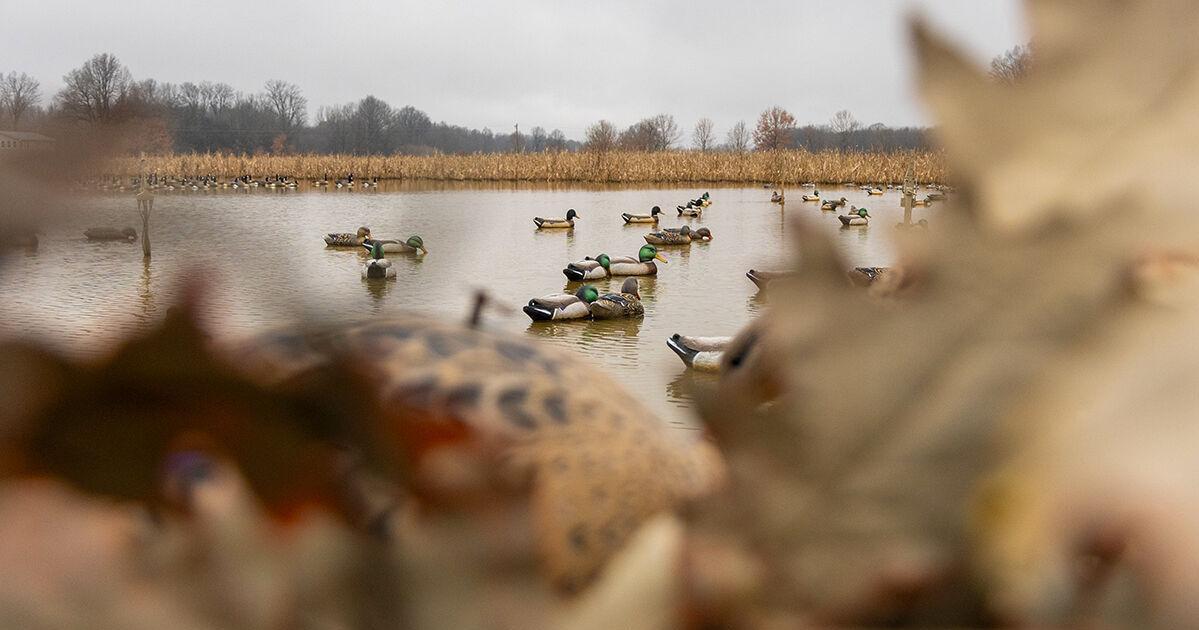 Kentucky announces waterfowl hunting blind drawing dates | News ...