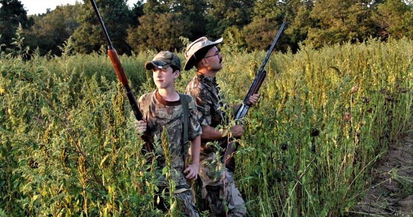 Kentucky’s dove season opener wings in Tuesday | Sports | timesleader.net