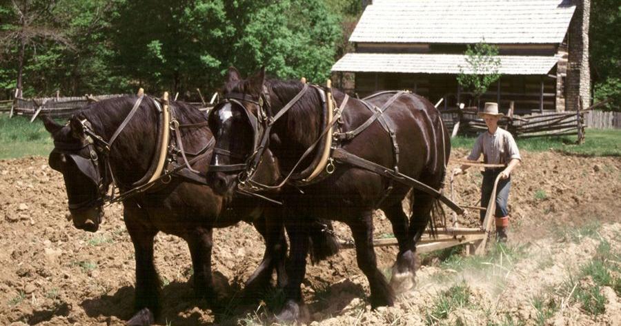 LBL campgrounds, facilities open for new season | News | timesleader.net