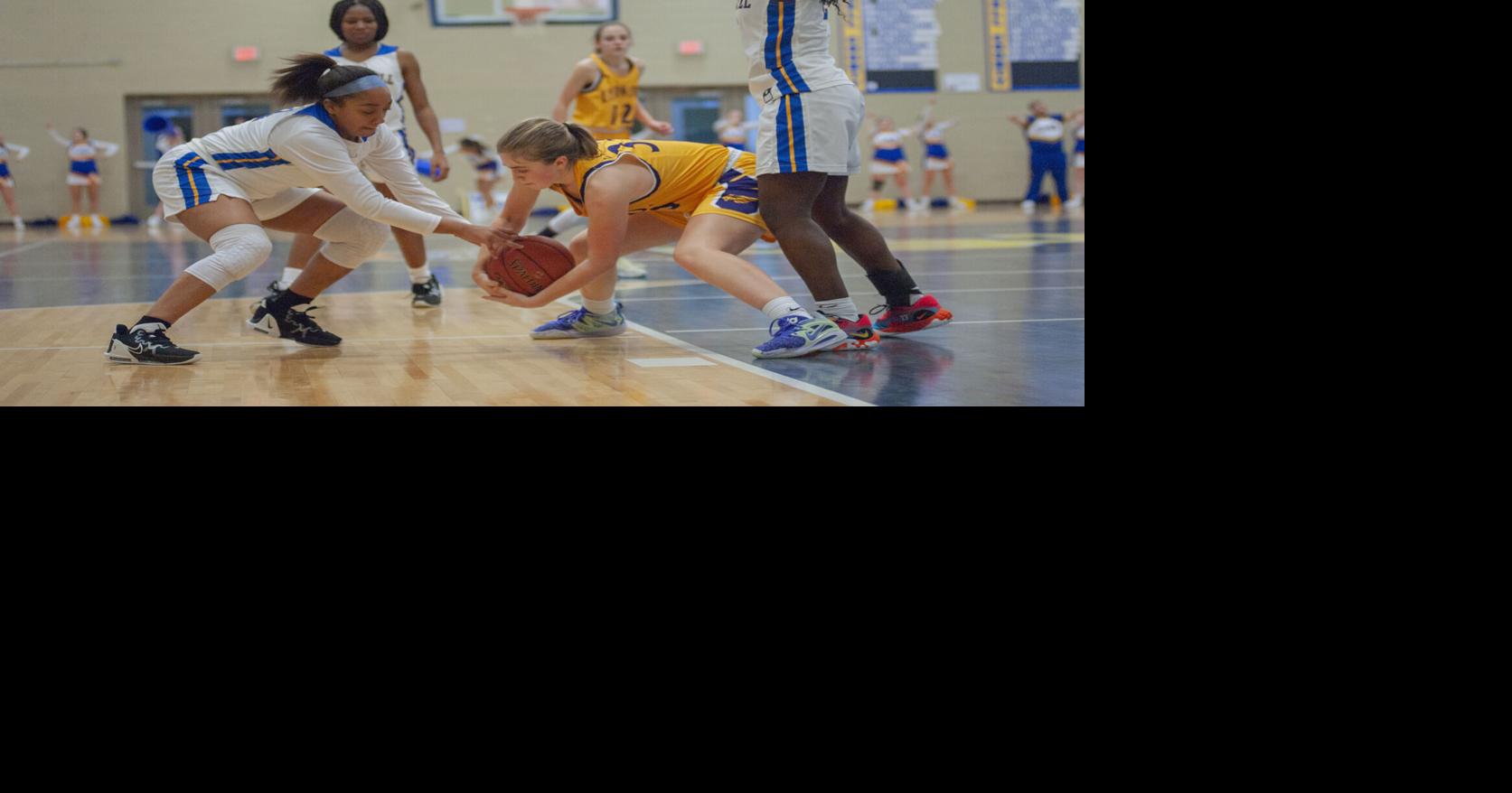 Lady Lyons get sweep on season over Lady Tigers | Sports | timesleader.net