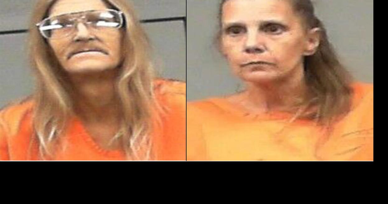 Couple faces child abuse charges after tazing child locked in dog ...