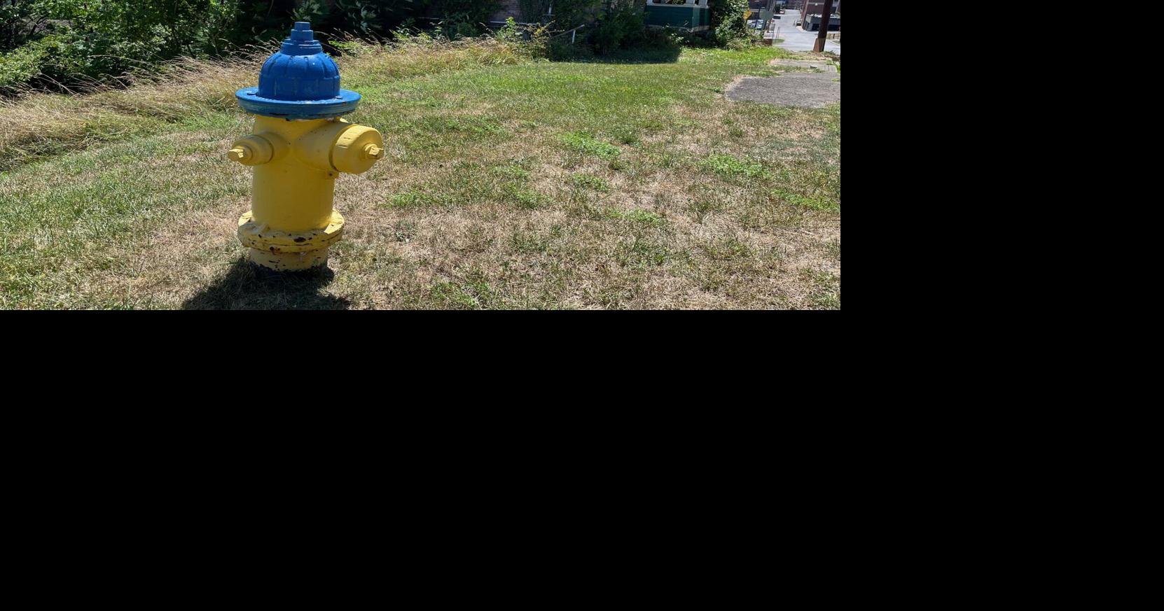 West Virginia PSC puts new fire hydrant rules out for public comment ...