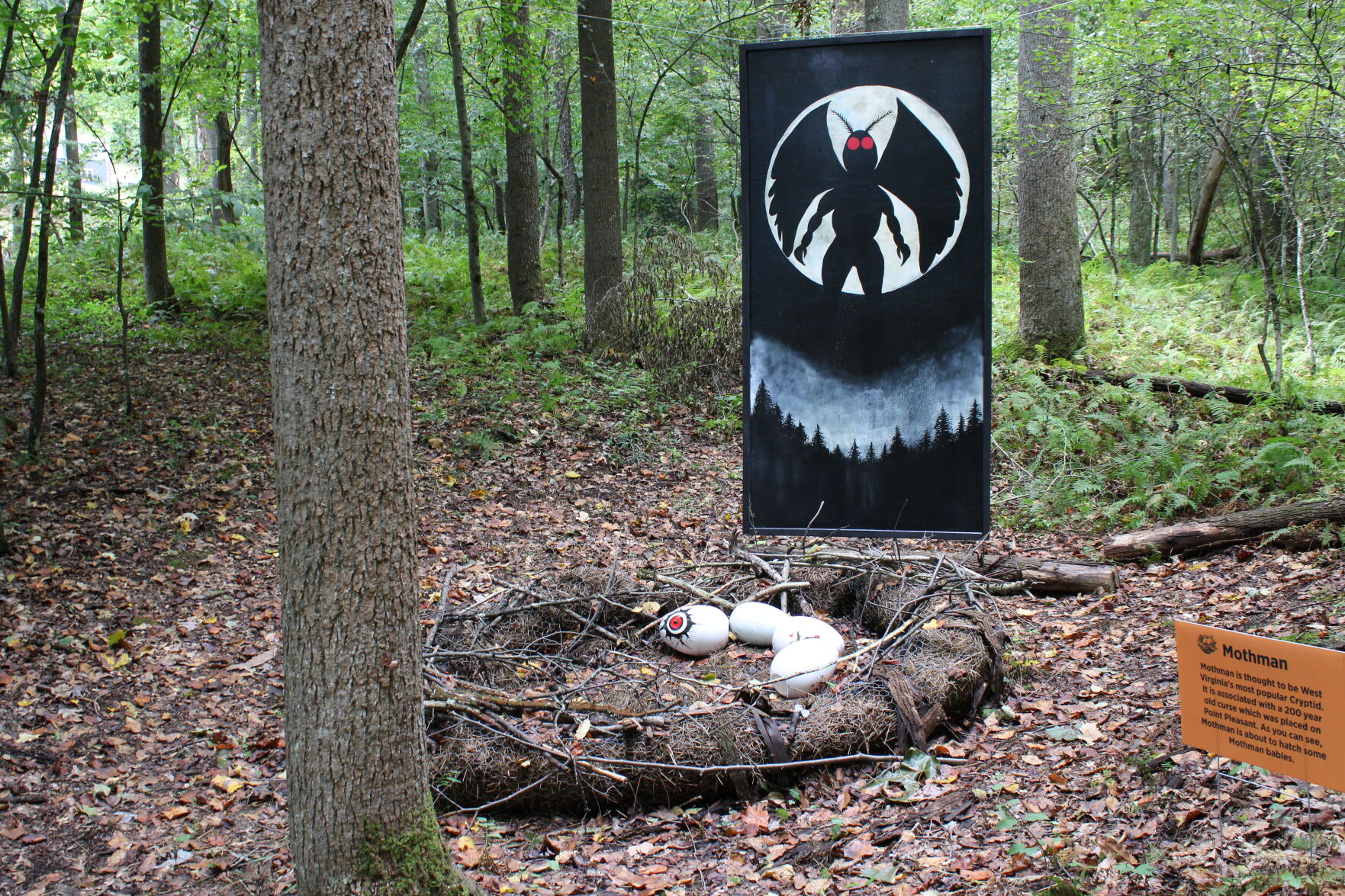 Cryptids: fact or folklore? Fairmont State debate team tackles big ...