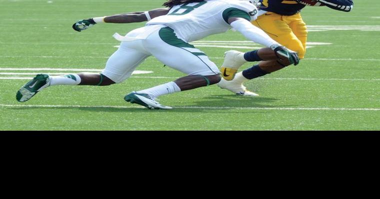 COLUMN: Stedman Bailey would make a fine wide receivers coach | WVU ...