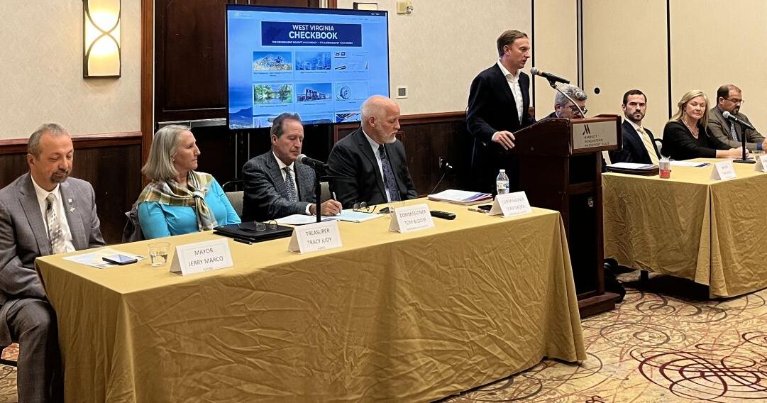 Panel touts state auditor's local government transparency program ...