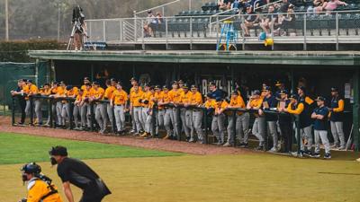 COLUMN: Opening series wins let rookie WVU baseball coach further ...