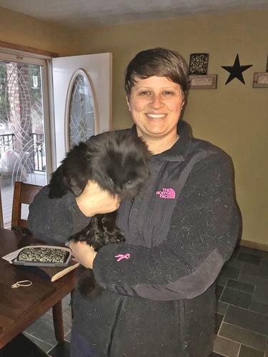 Melton living dream at Mountain State Veterinary Service | News ...