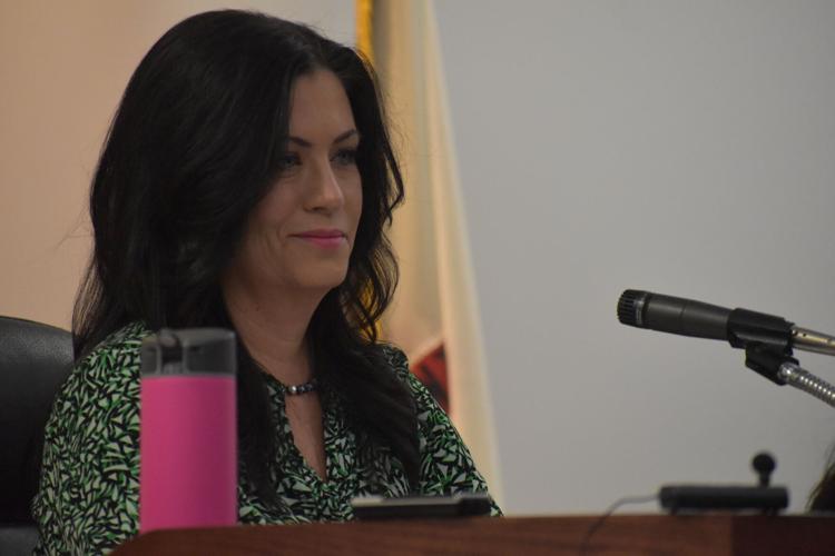 Fairmont City Council greenlights $3.5M for Norwood Park project ...