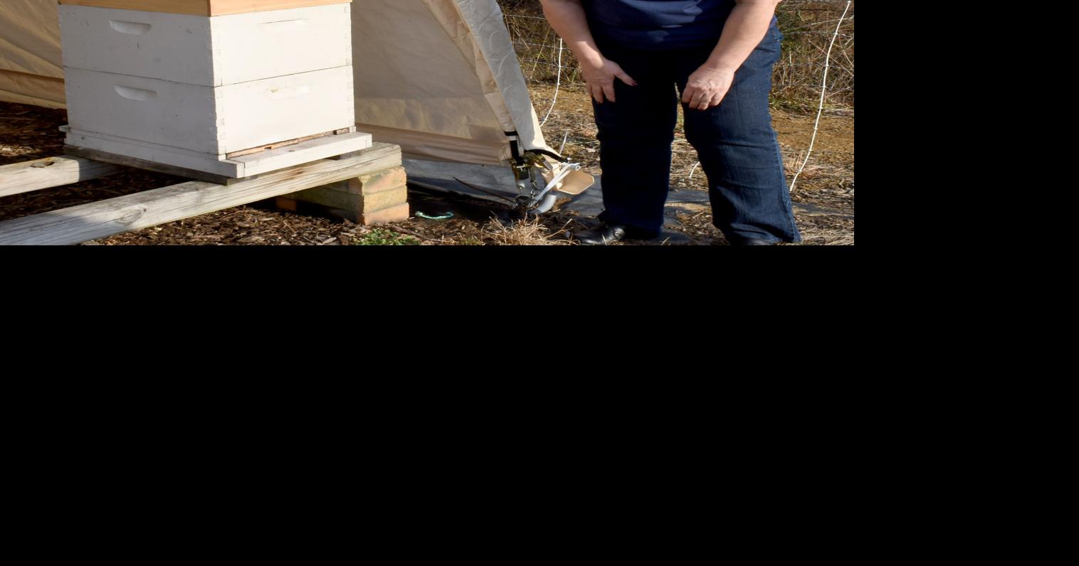 Local beekeepers invite more to join their ranks | Life | timeswv.com
