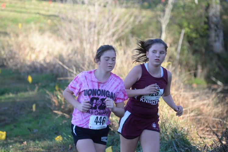 Middle school XC teams cap their seasons at Marion County Championship ...