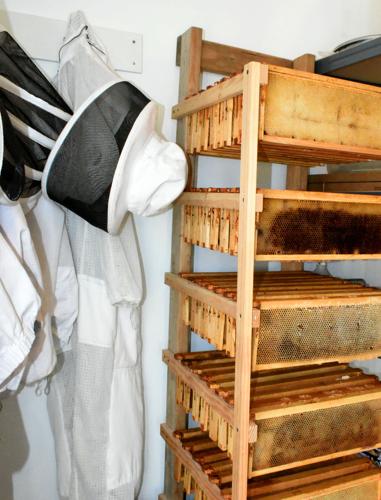 Local beekeepers invite more to join their ranks | Life | timeswv.com
