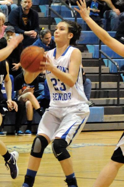 Stoller gives Polar Bears a spark | News | timeswv.com