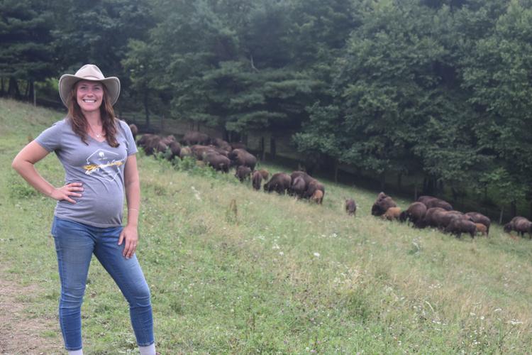 Where the buffalo roam in West Virginia | Mtnstliving | timeswv.com