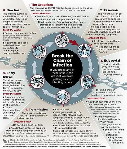 Here's a look at the cycle of the COVID-19 coronavirus | News | timeswv.com