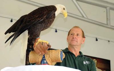 From airplanes in the military to birds at the raptor center, Book ...
