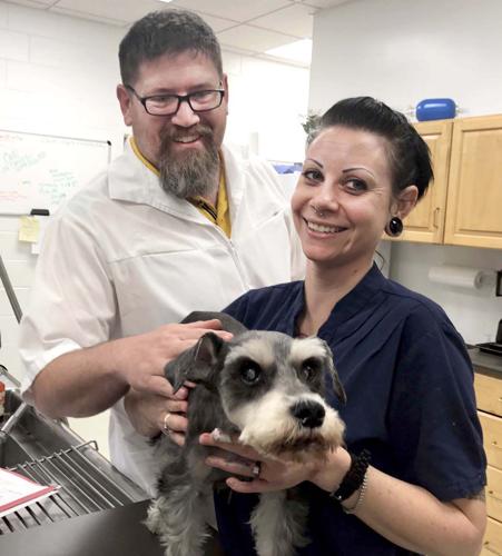 Working as a veterinarian allows Moore to help animals each and every ...