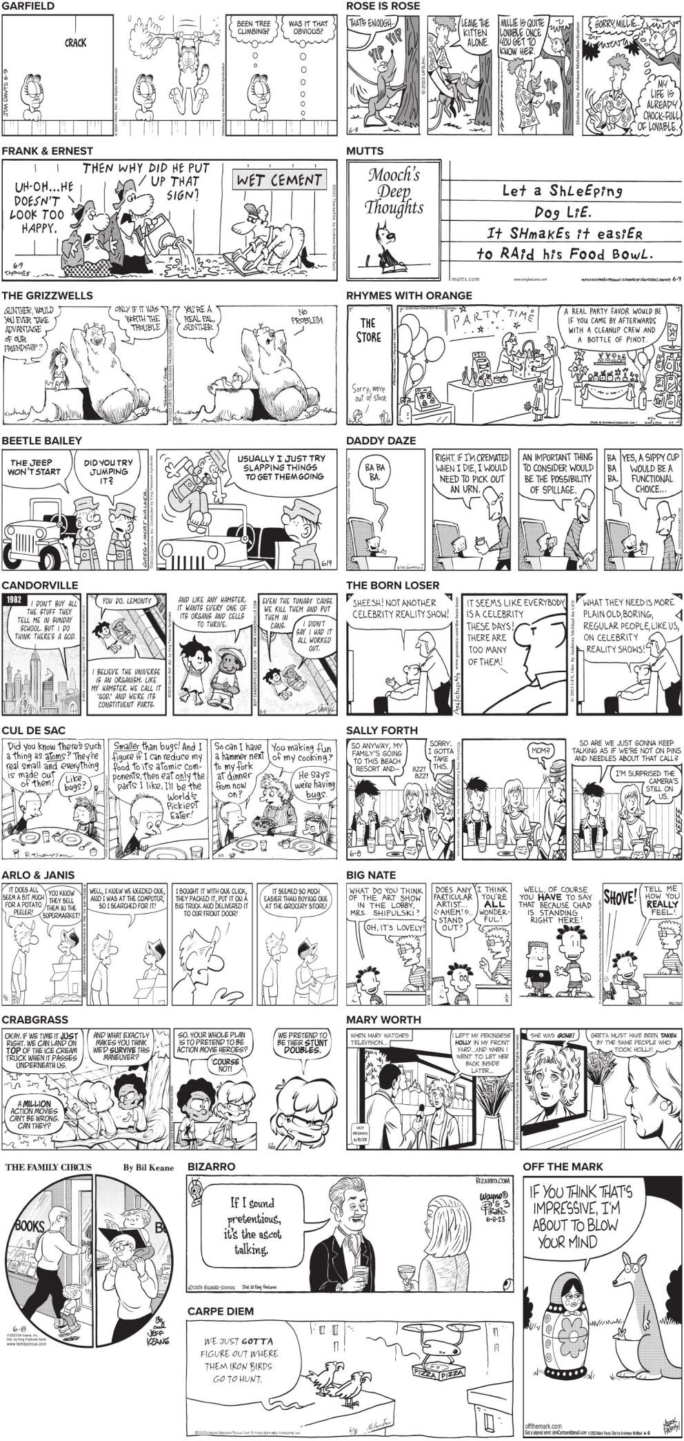Friday, June 9, 2023 Comics and Puzzles | Daily Comics | timeswv.com
